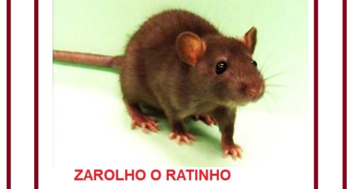 CHEIRINHO DE POESIA: ZAROLHO O RATINHO