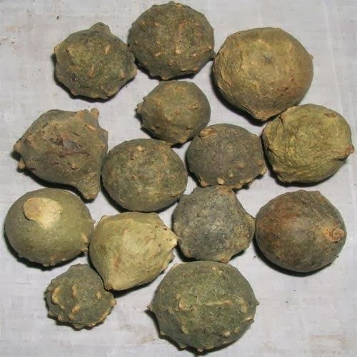 ManjuPhal | Herbal Remedies