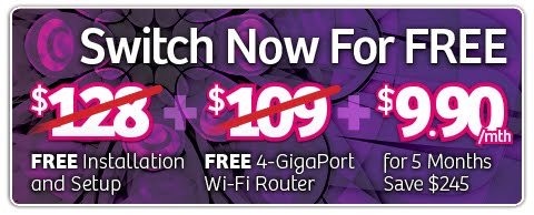 Switch to Fibre: How does Opennet Termination Point looks like?