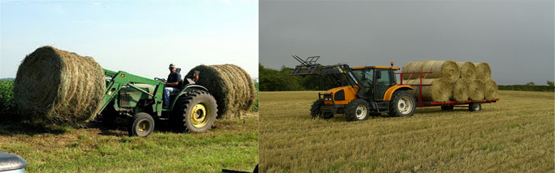 Mengenal Peternakan Modern