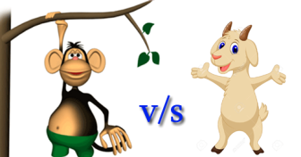 Fundamental Investor: Share Bazaar of Monkeys and Goats