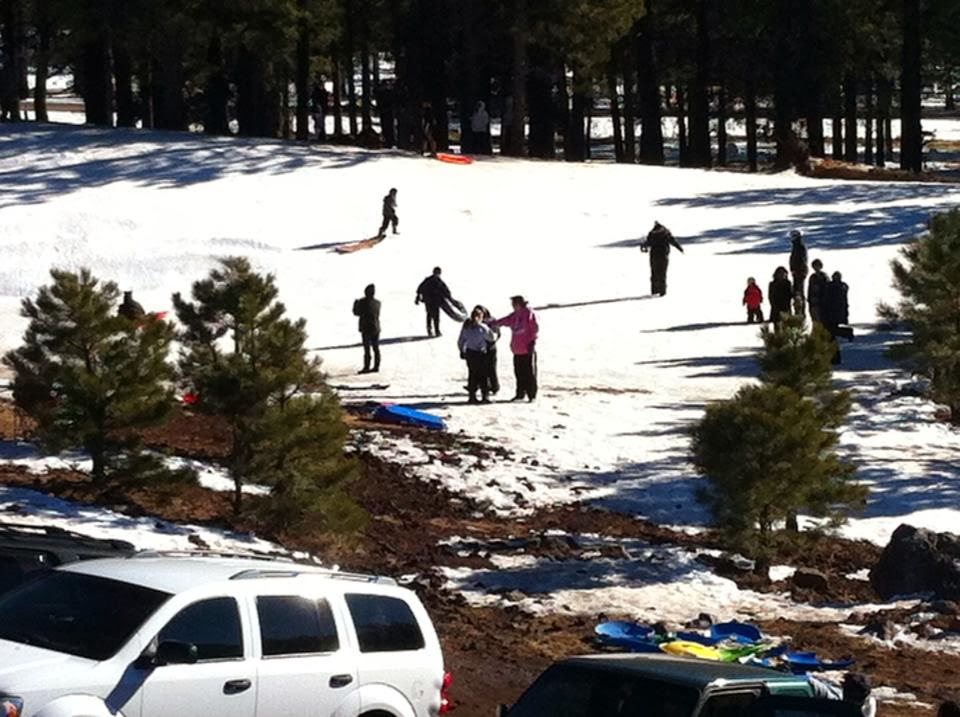 Straddling the Gap: All About Arizona - Flagstaff