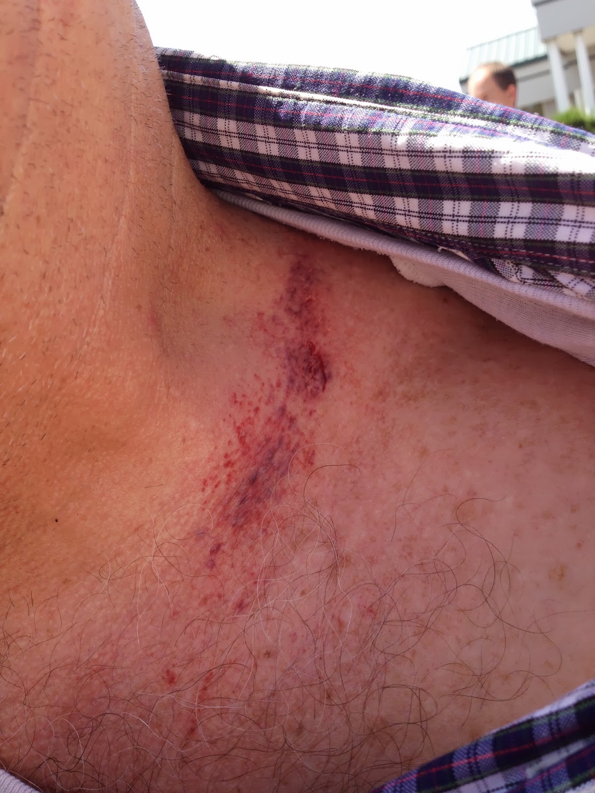 wendy will ramble...: July 2013