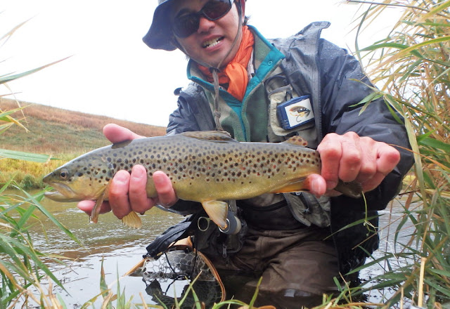 Mountains, Rivers, & Trout: October Summary: Fall Baetis Hatch (& Some ...