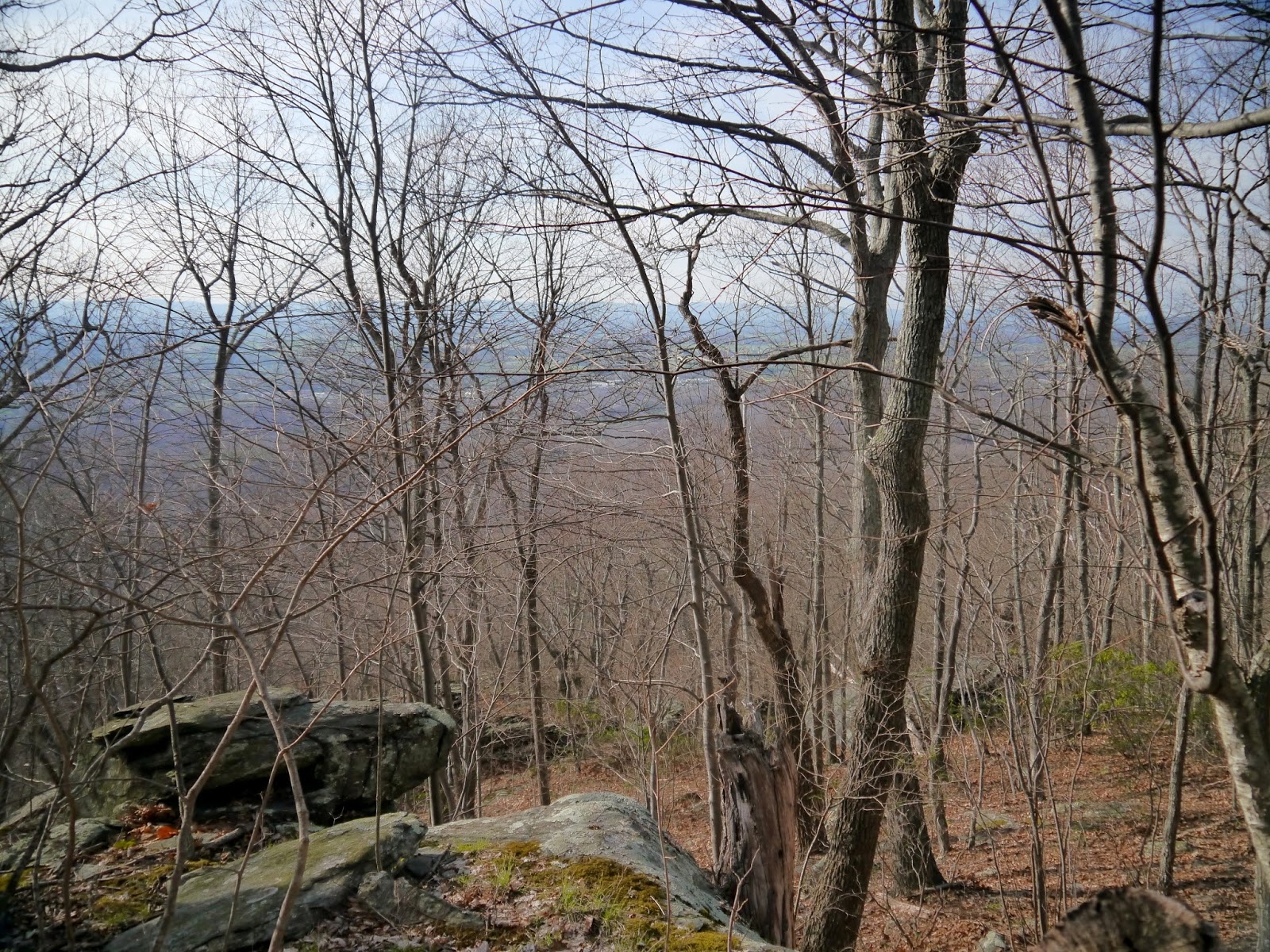 American Travel Journal: Rockfish Gap to McCormick Gap - Appalachian ...