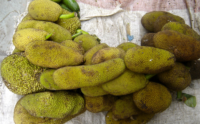 Lists of most common fruits of Nepal (Nepali-English)