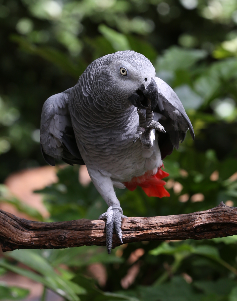 Clown Fish Cafe: Question from the Audience – Sharpening a Selection