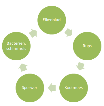 Voedselrelaties: Voedselkringloop