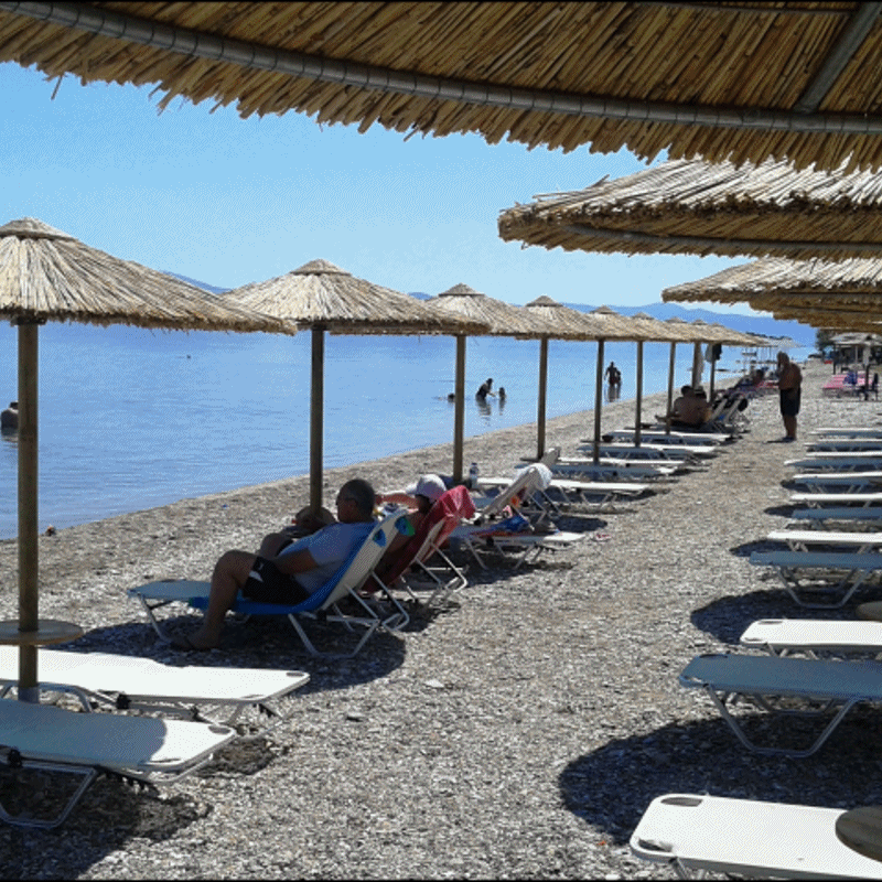 ΠΑΡΑΛΙΑ ΒΑΡΝΑΒΑ: ΠΑΡΑΛΙΑ ΒΑΡΝΑΒΑ: Μια μαγευτική παραλία κοντά σας.....