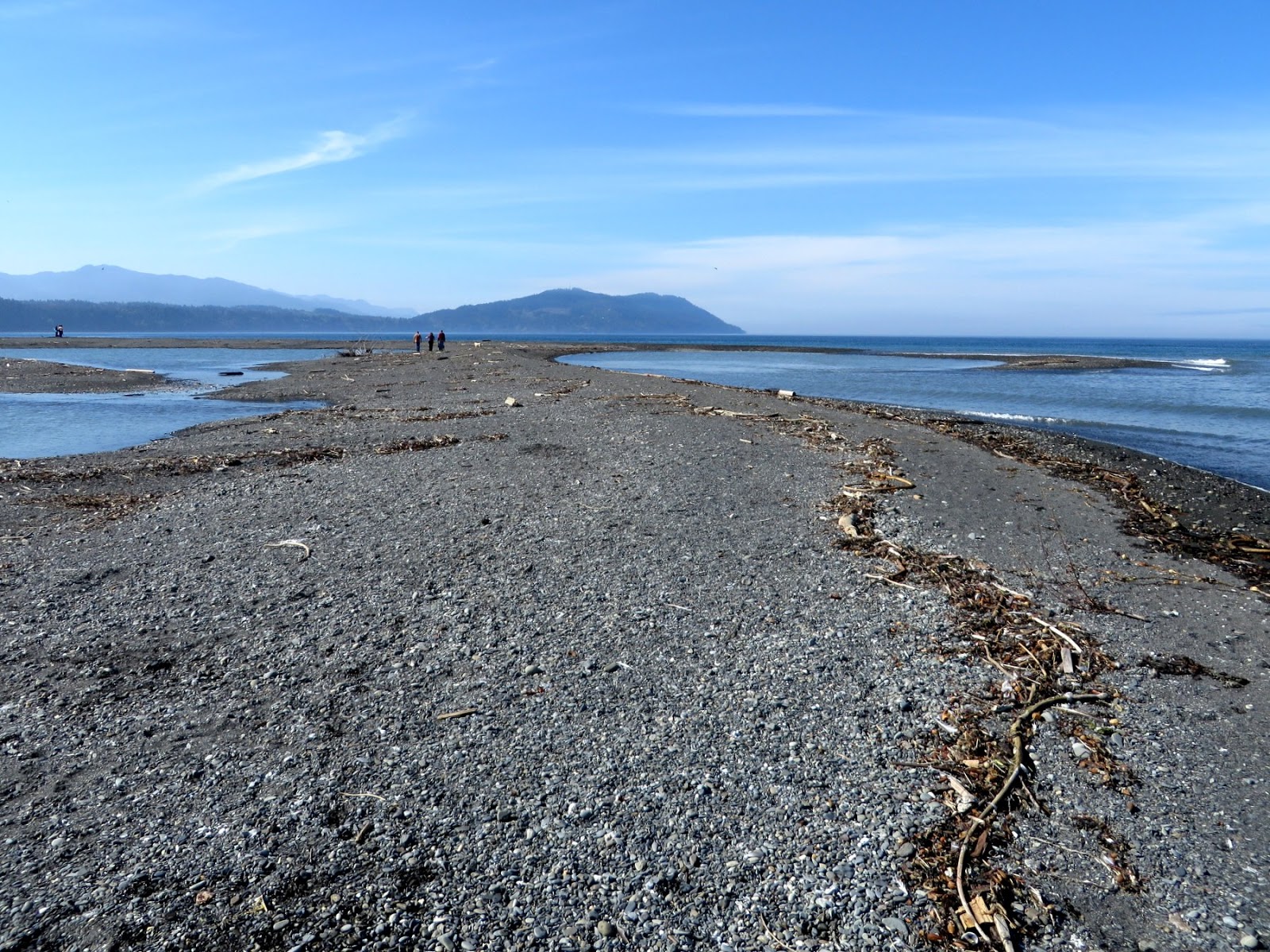 Gravel Beach: Elwha Delta