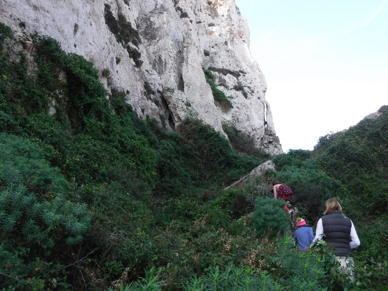 Stevie Haston: Mistra Rocks Labyrinth, by Stevie Haston.