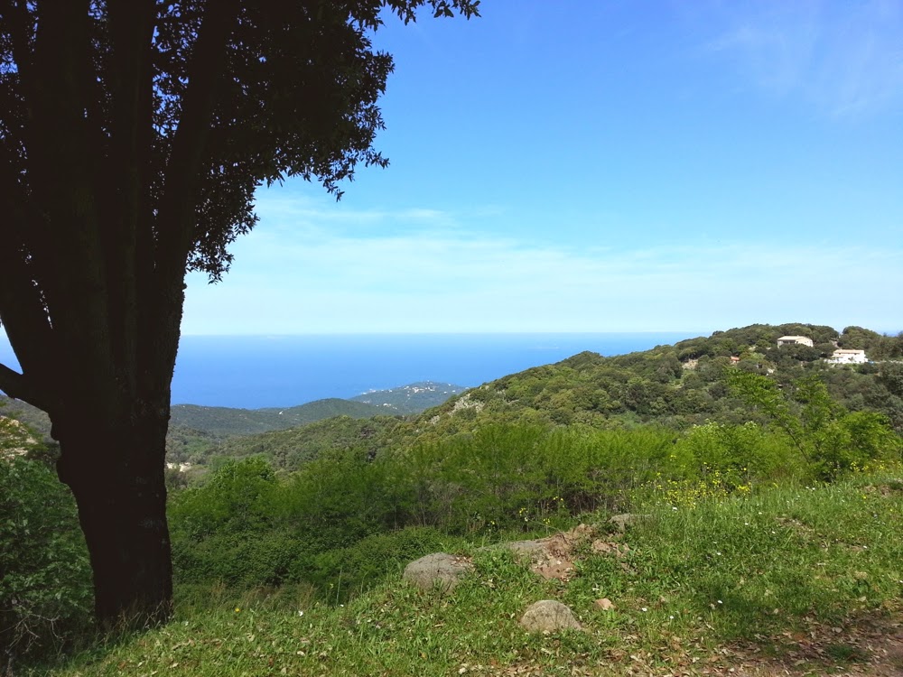 Veloruck: Corse du Sud - Les hauteurs de Coti-Chiavari