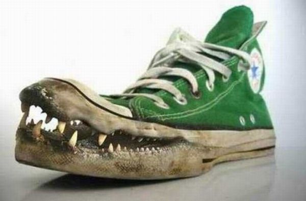 Fun and Cool: Most Crazy Shoes Ever
