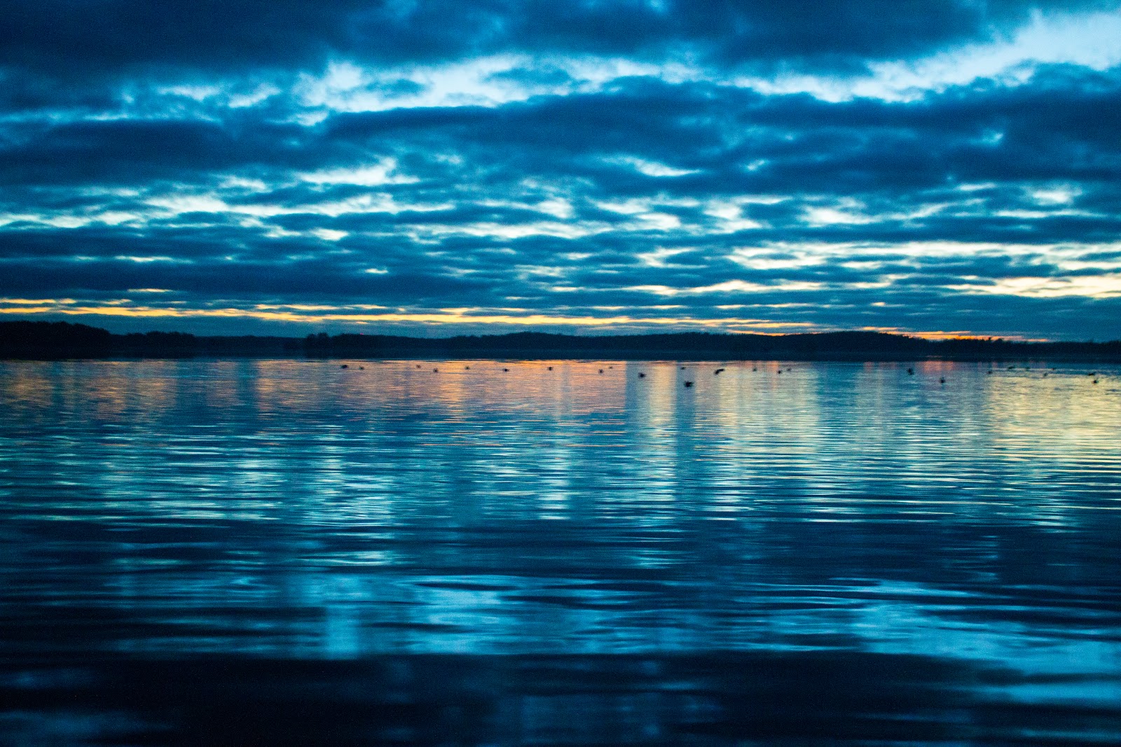 Catch With Care blog: Gös blev en fin gädda istället :) | CWC - Catch ...