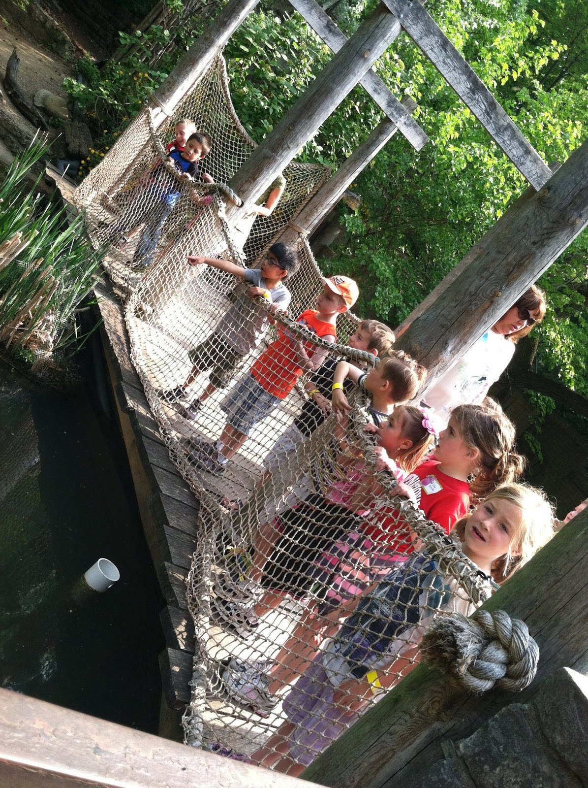 Kindergarten is a Hoot!: Zoo Field Trip