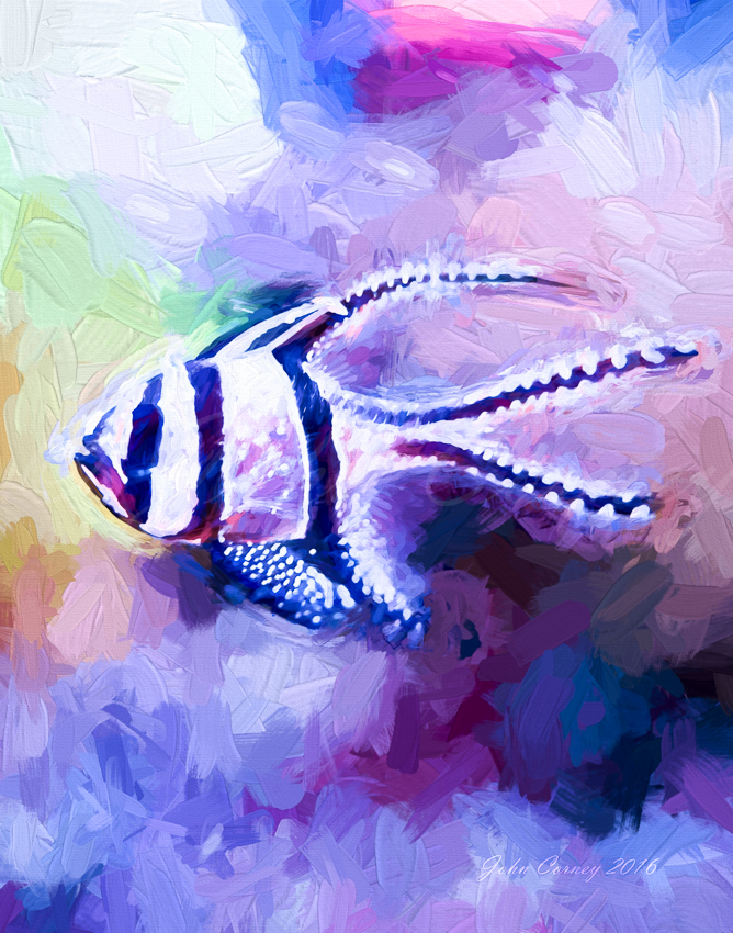 Photography and Digital Art by John Corney: Spotted and Striped ...