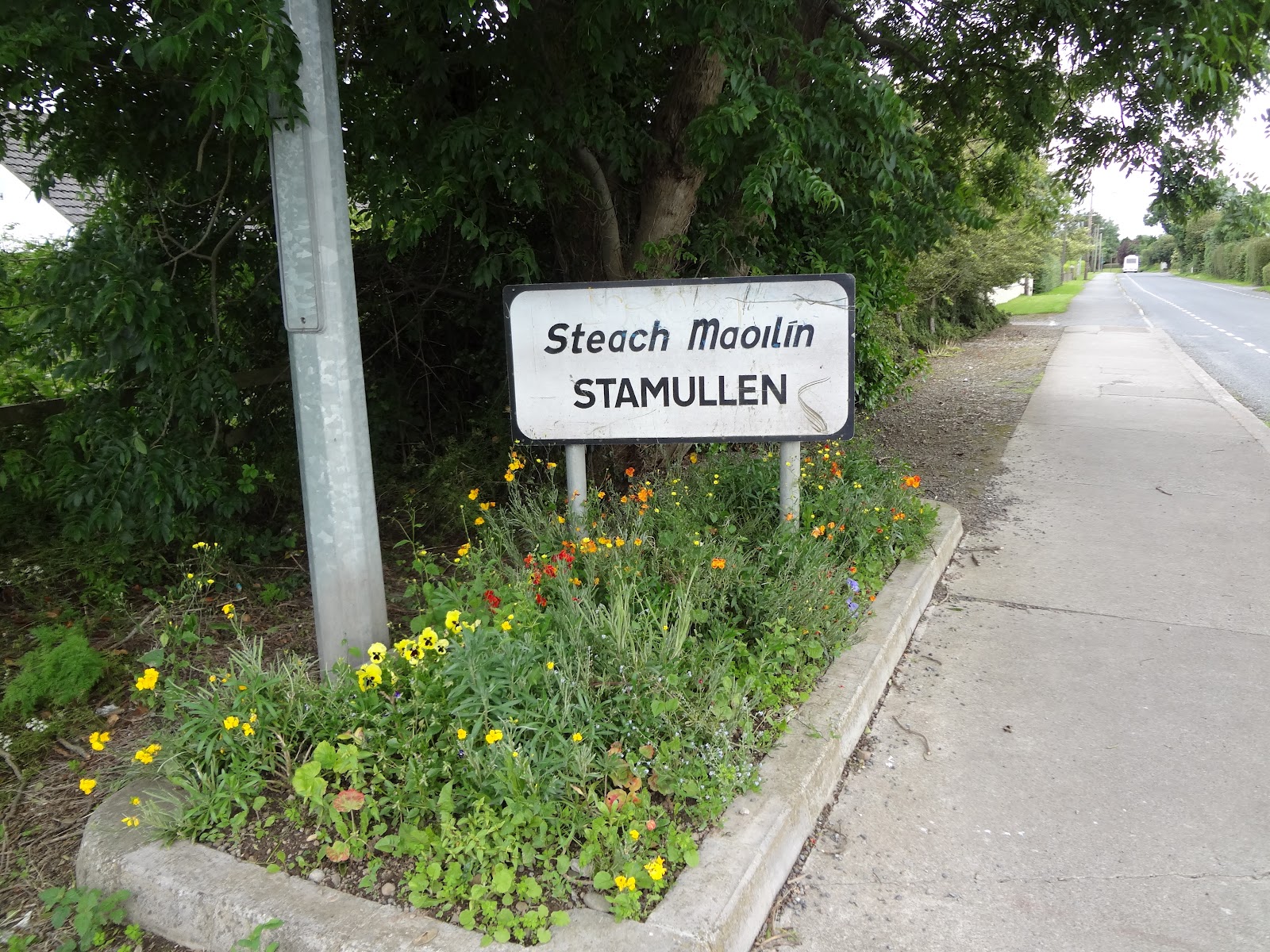 The Roaming Muse: Home Sweet Stamullen: A Photo Adventure