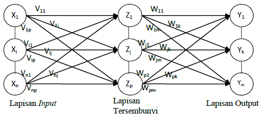 Jaringan Saraf Tiruan (JST) - Pengertian, Asumsi, Prinsip dan ...