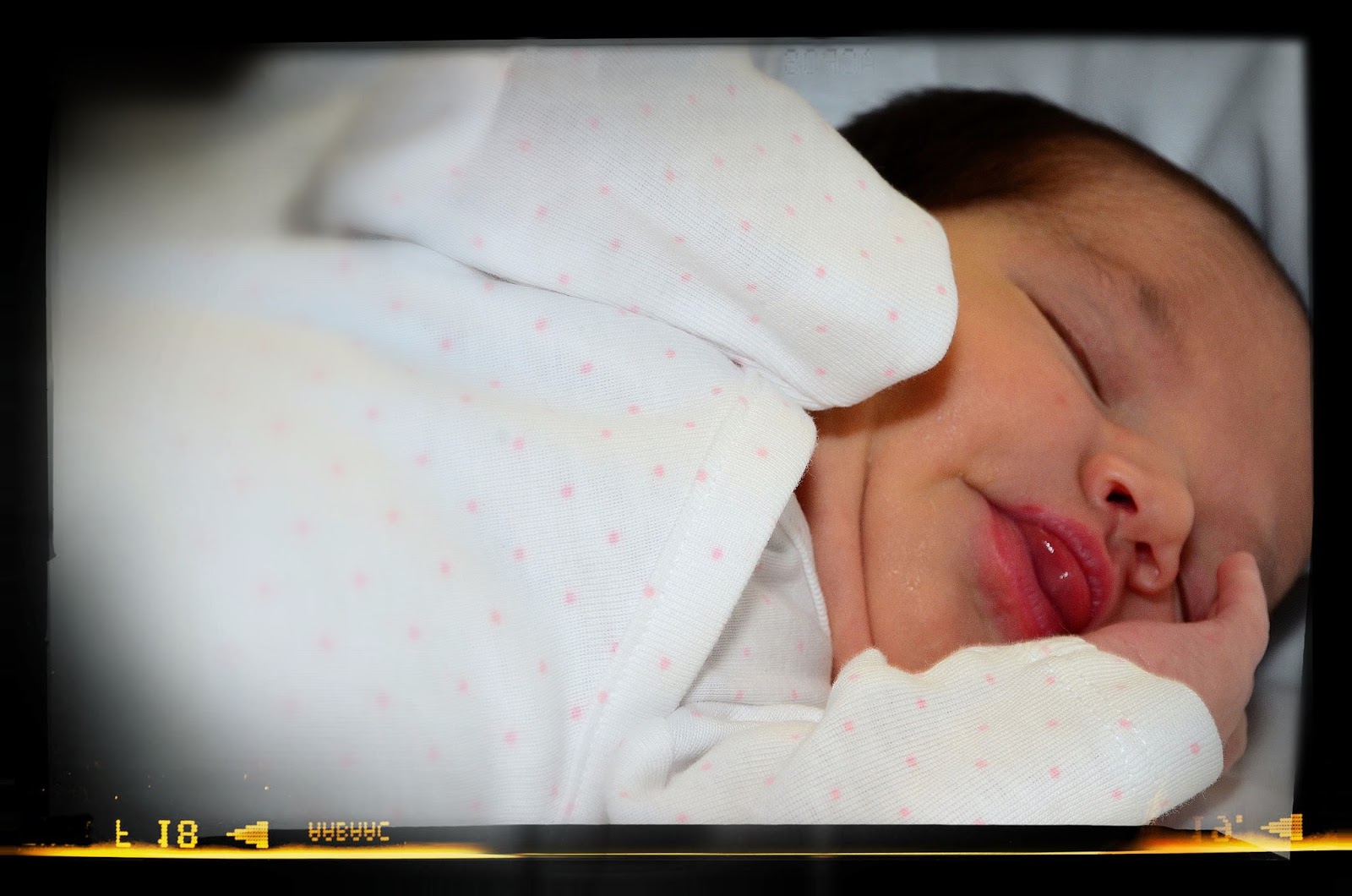 Oscar Lechuga Fotógrafo