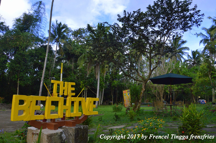 Frenz Fries: The Beehive Farm and Kitchen, Lipa