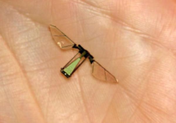 Bou-Pro: Invention robot fly the size of a bee