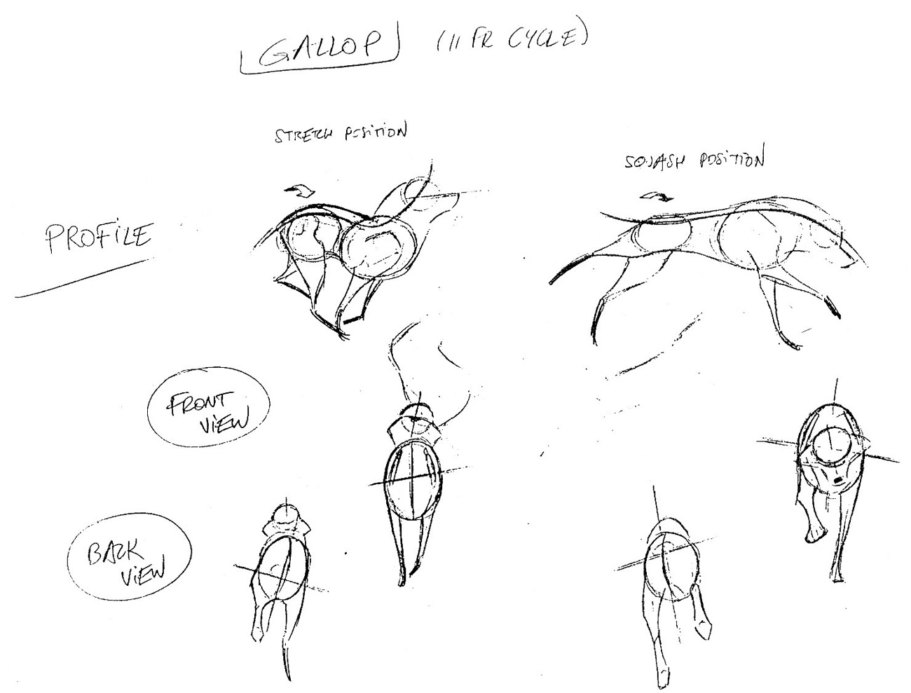 Living Lines Library: Balto (1995) - Character Studies