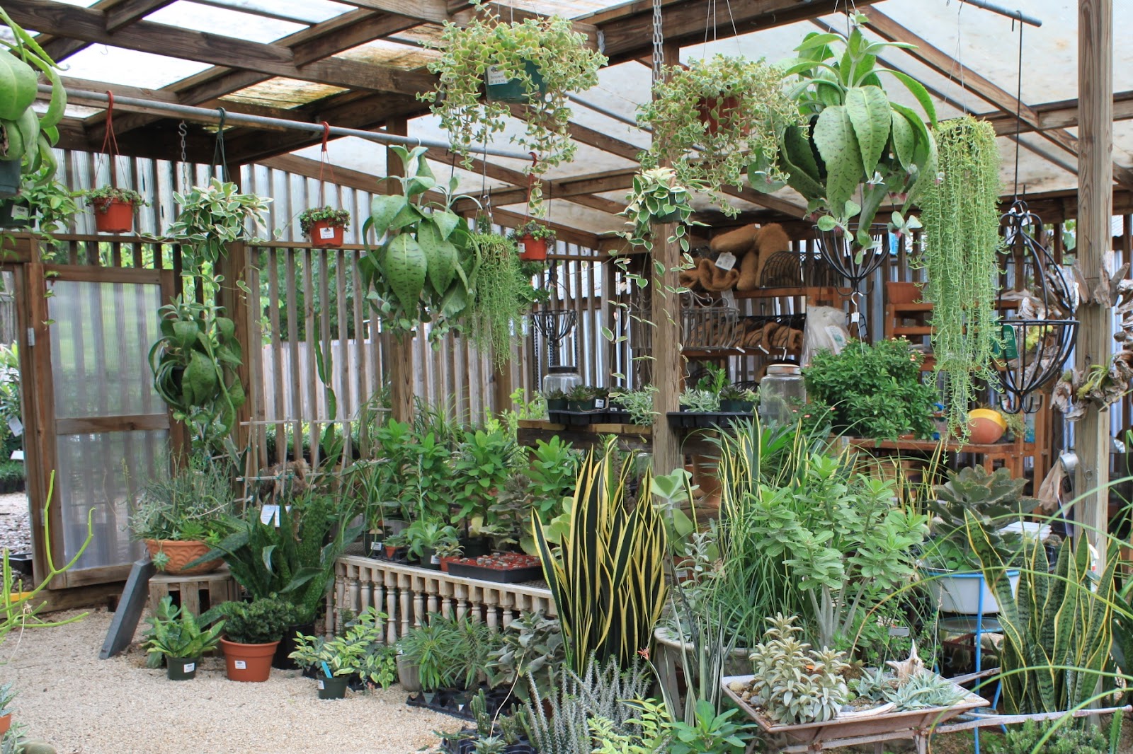 Inspiring ideas for creating your own arrangements | Shade house, Diy ...