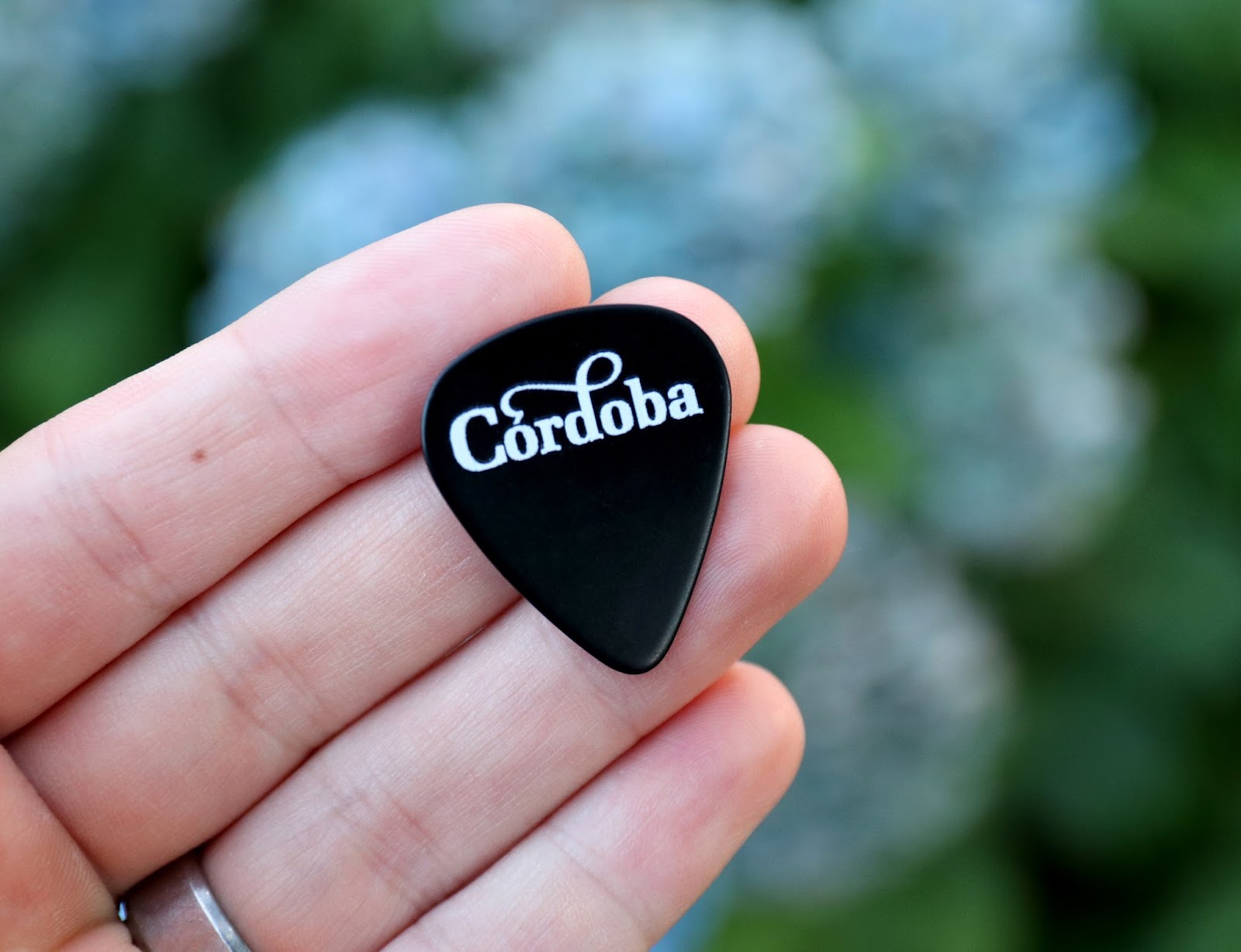 Dan the Pixar Fan: Coco: D23 Expo 2017 Exclusive Promotional Guitar Pick