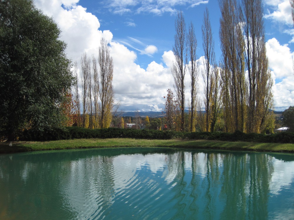 A Woman of Notes: An Autumn Weekend in Armidale