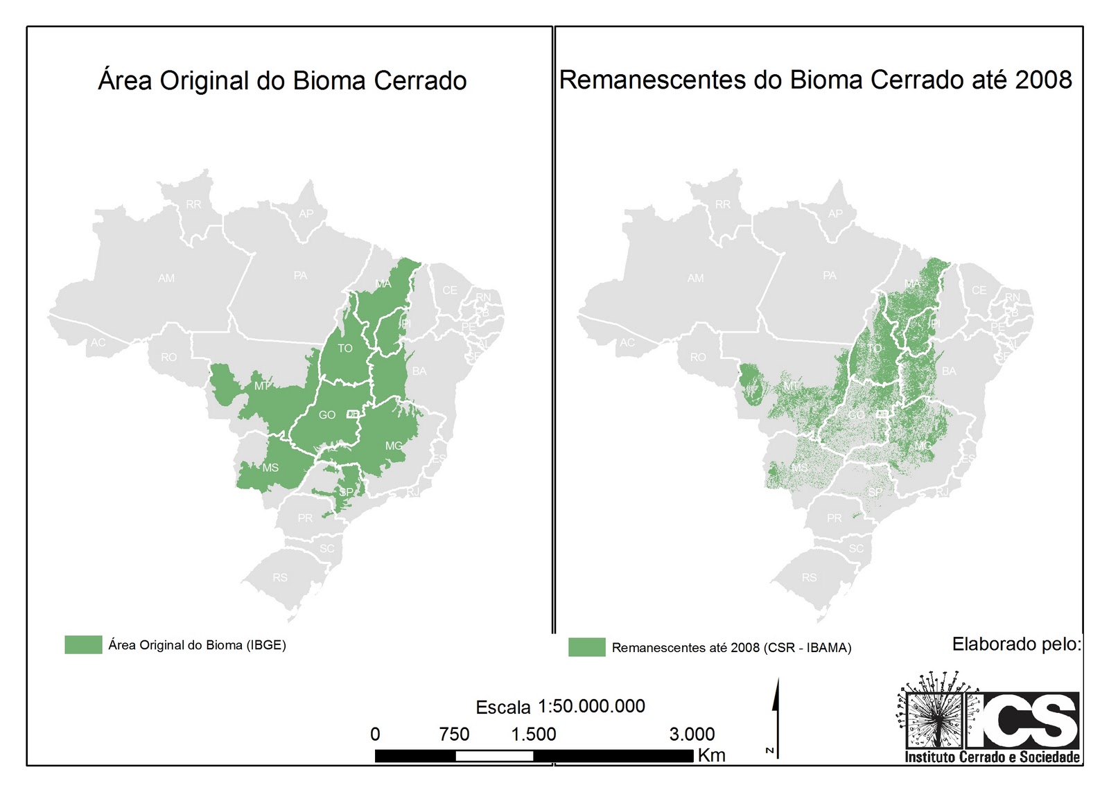 BIBOCA AMBIENTAL : VEGETAÇÃO NO BRASIL - RESUMÃO