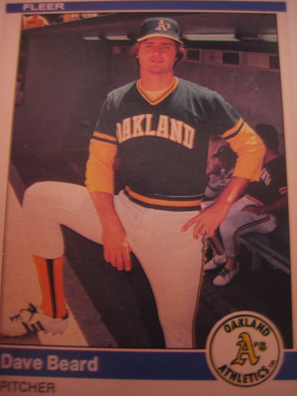 Baseball Cards Come to Life!: Player Profile: Dave Beard