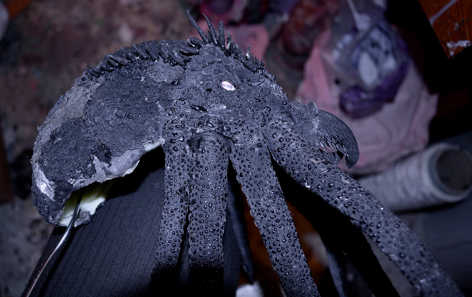 The Lone Animator: Building the Kraken