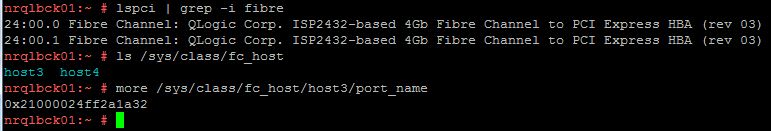 Tivoli Storage Manager: How to identify/get QLogic WWN on SuSE ...