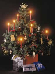 .: Christmas Tradition ~ The Netherlands