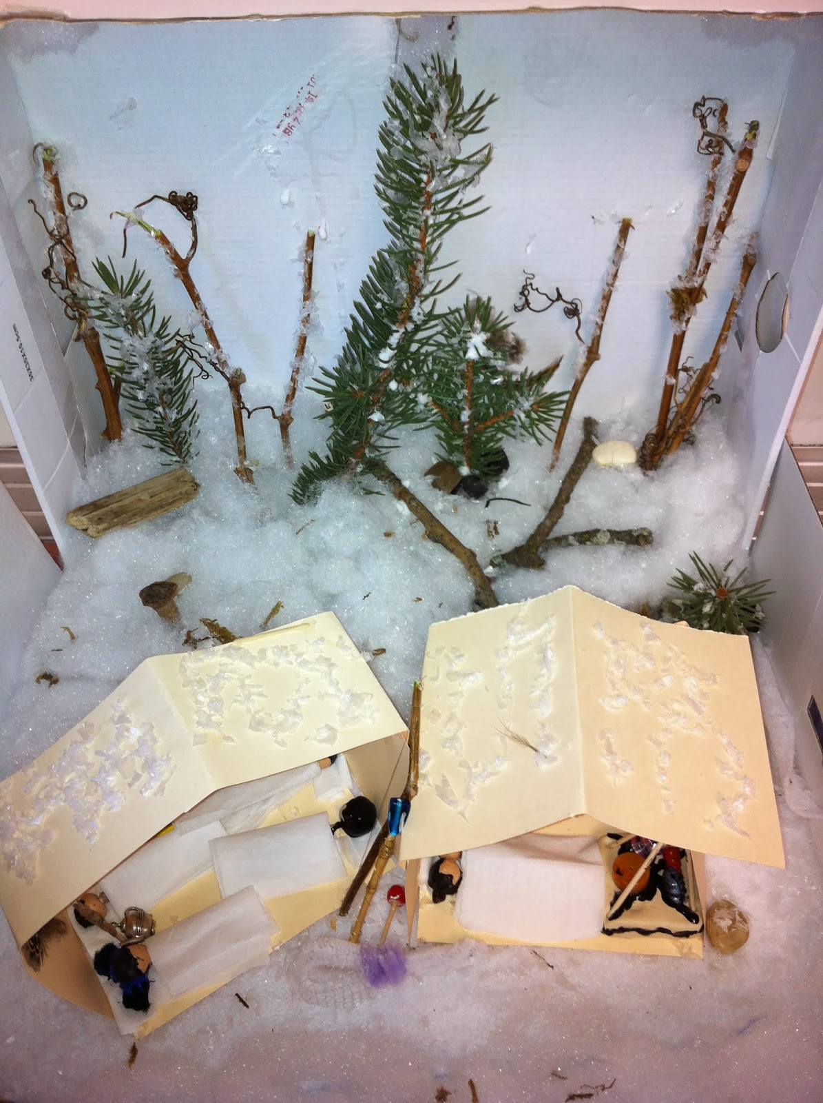 5/6 Language Arts & Social Studies: The Birchbark House
