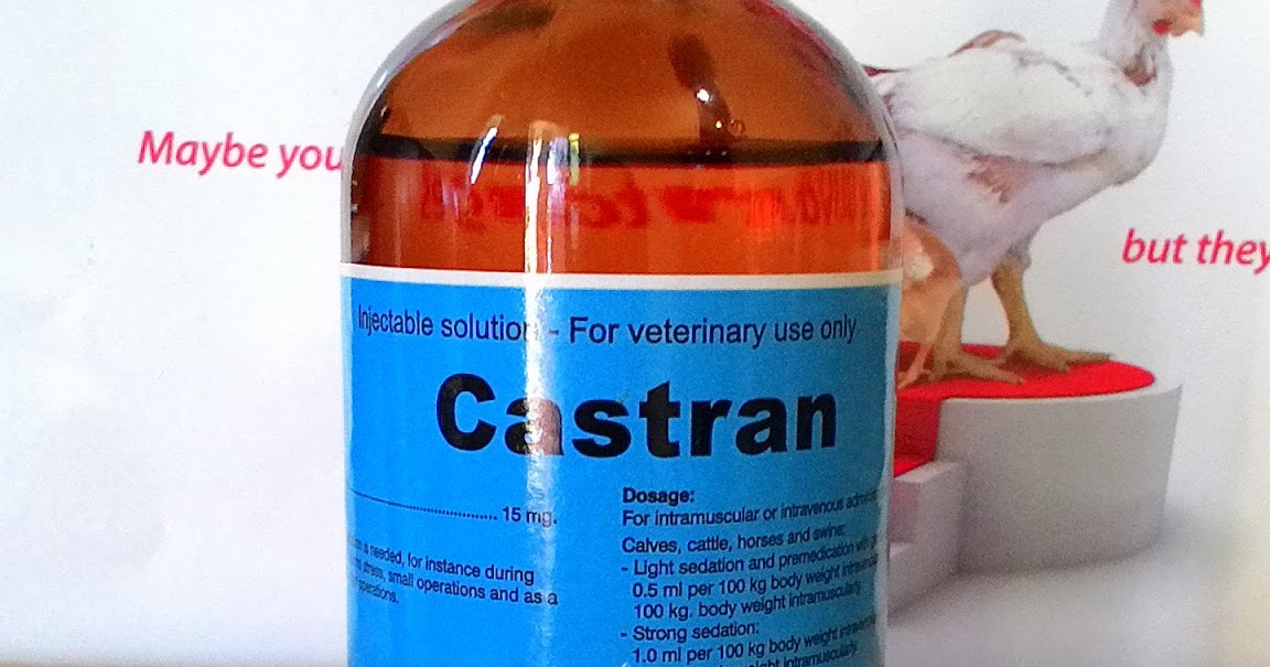CASTRAN Premedikasi Anastesi Umum dan Penenang - OBAT HEWAN UNGGUL