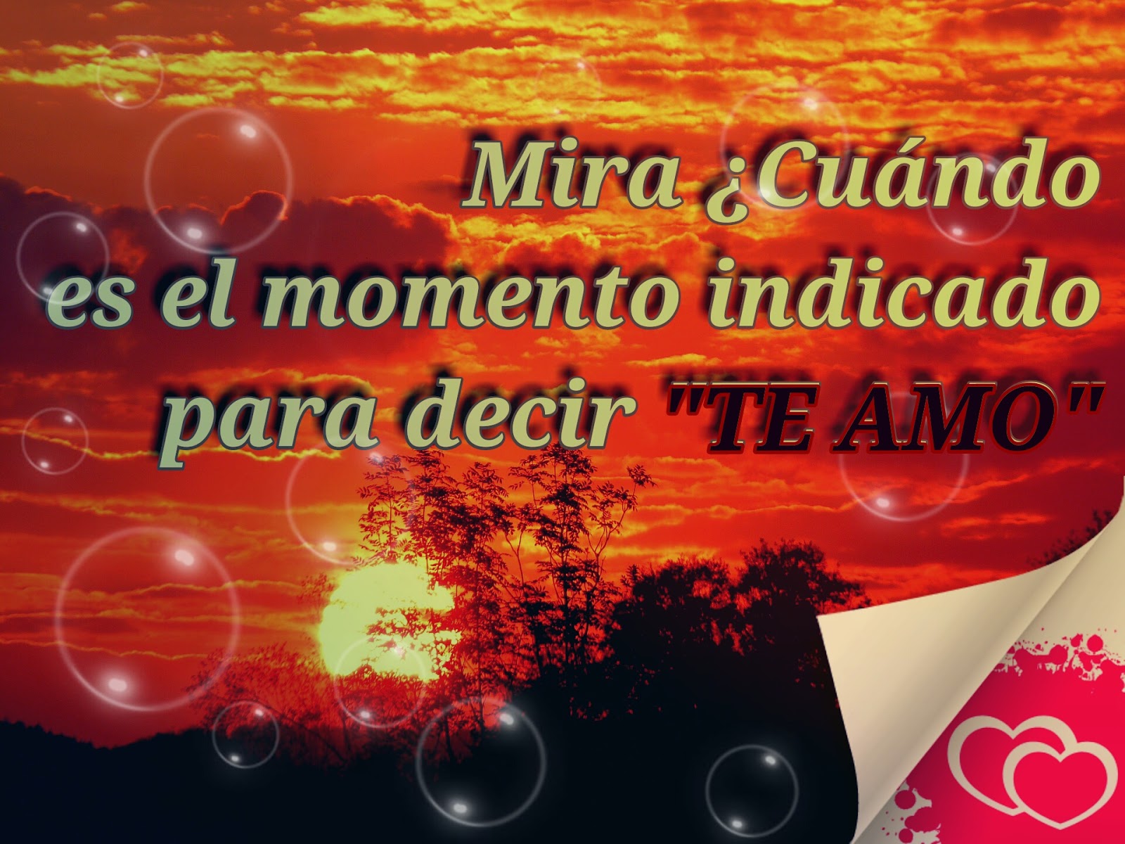 Cuando Es Tiempo De Decir Te Amo - Servicio De Citas En Las Palmas De ...