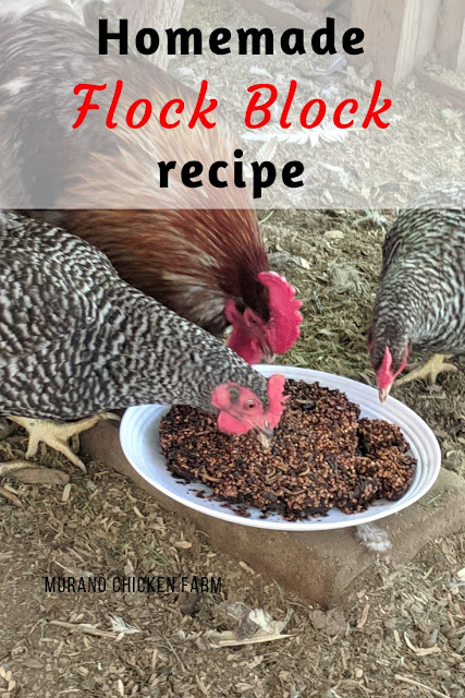 Homemade flock block recipe - Murano Chicken Farm