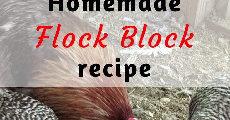 Homemade flock block recipe - Murano Chicken Farm