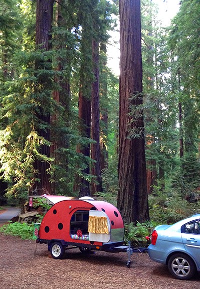 Tiny Yellow Teardrop: Friday Teardrop Photo