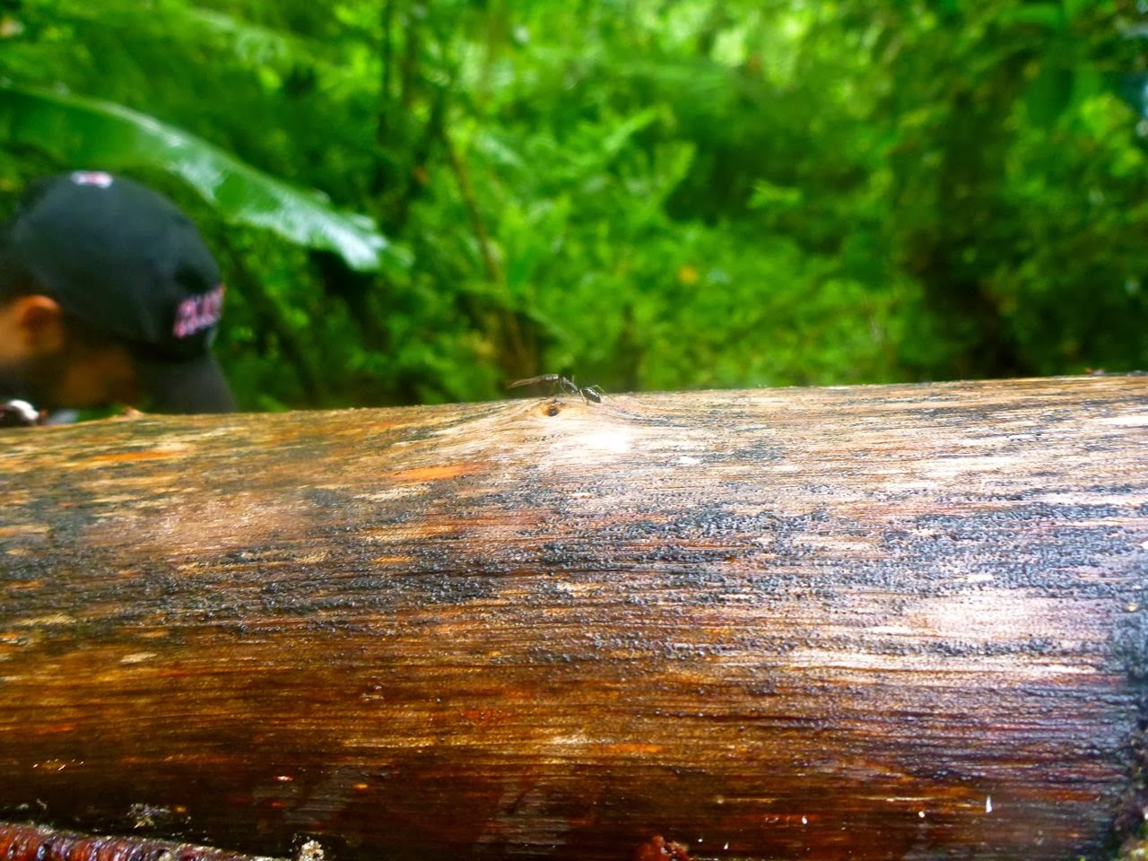 Saul and Chelsia: Over the Moon and Back: Aoloau Bay