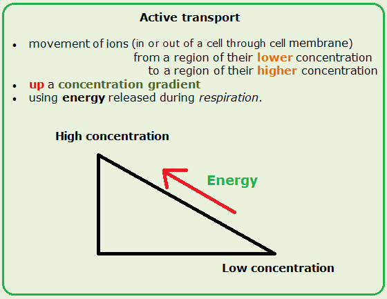# 25 Passive and active transport across cell membranes | Biology Notes ... # 25 Passive and active transport across cell membranes | Biology Notes ...