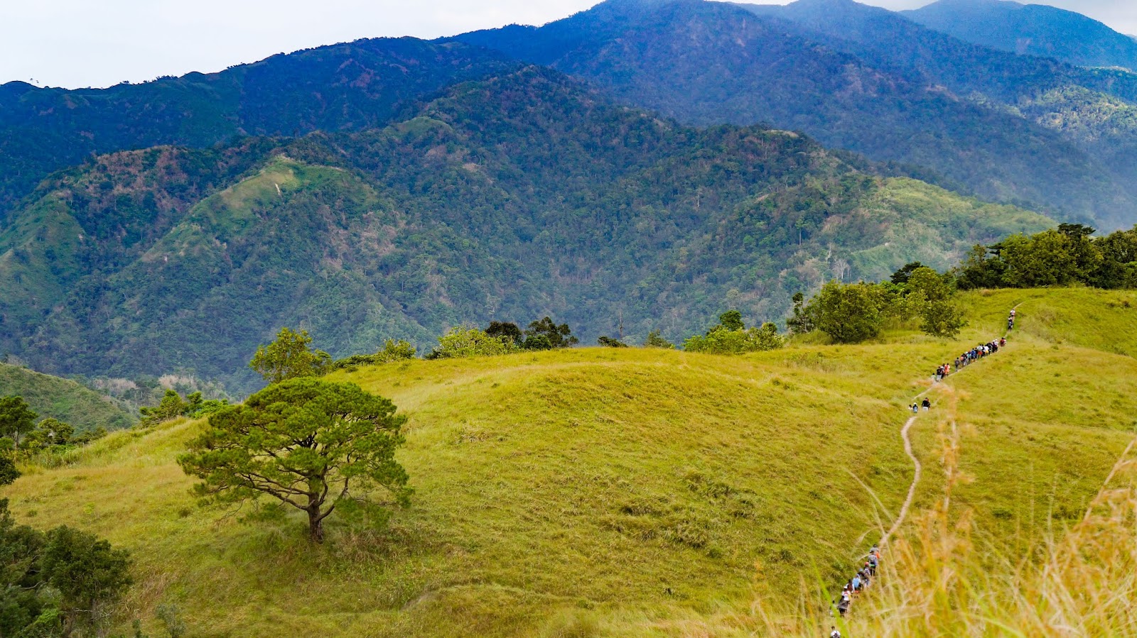 Il bel far niente: A Beginner's Experience of Mt. 387