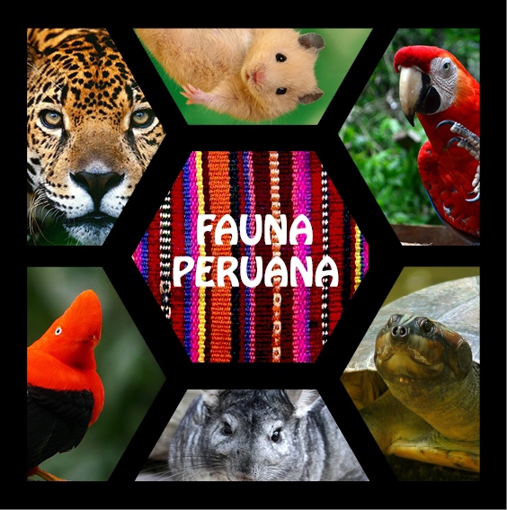 Orgullosos de Nuestra Fauna! : noviembre 2015