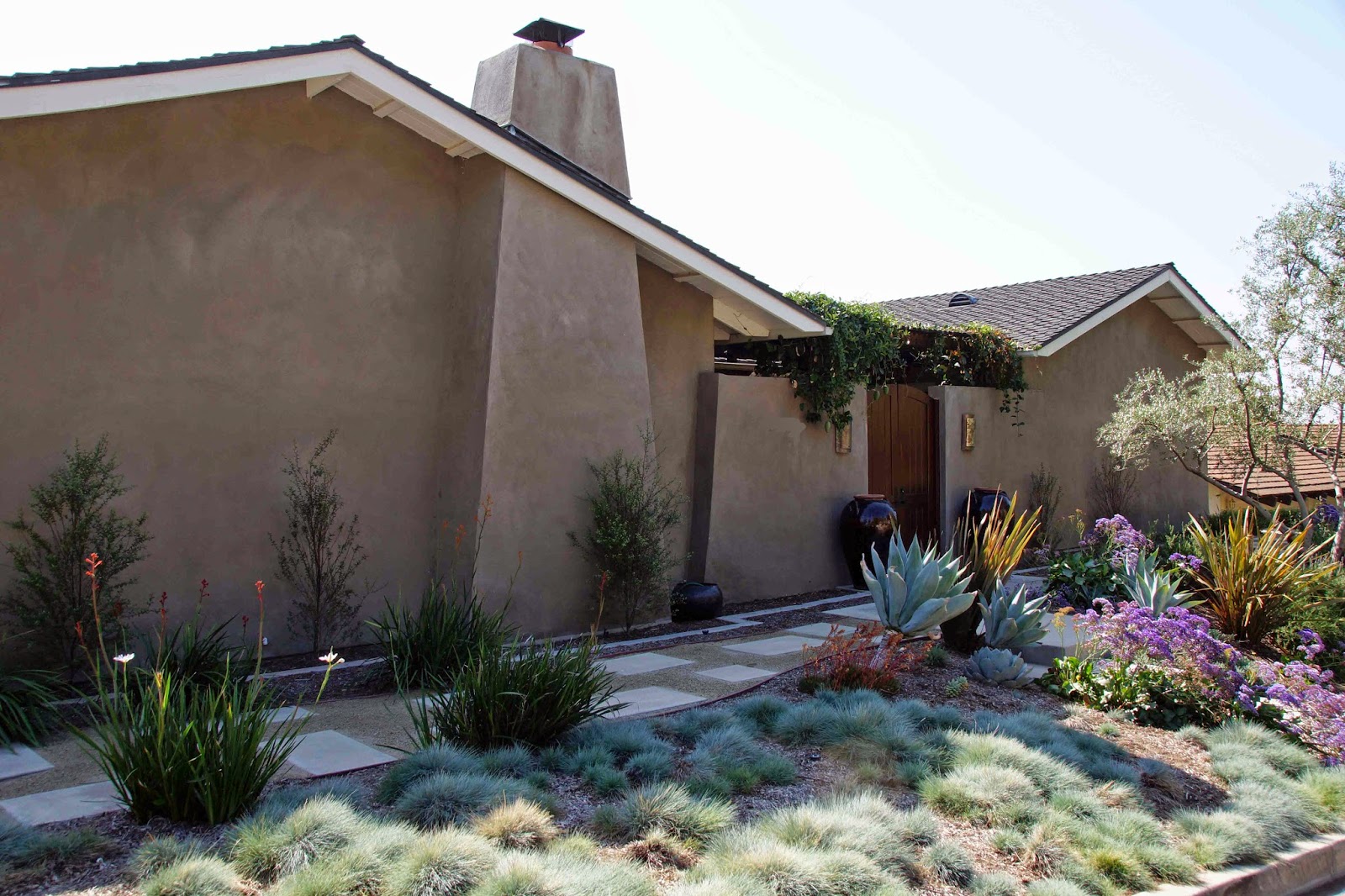 More Lawnless Front Yards