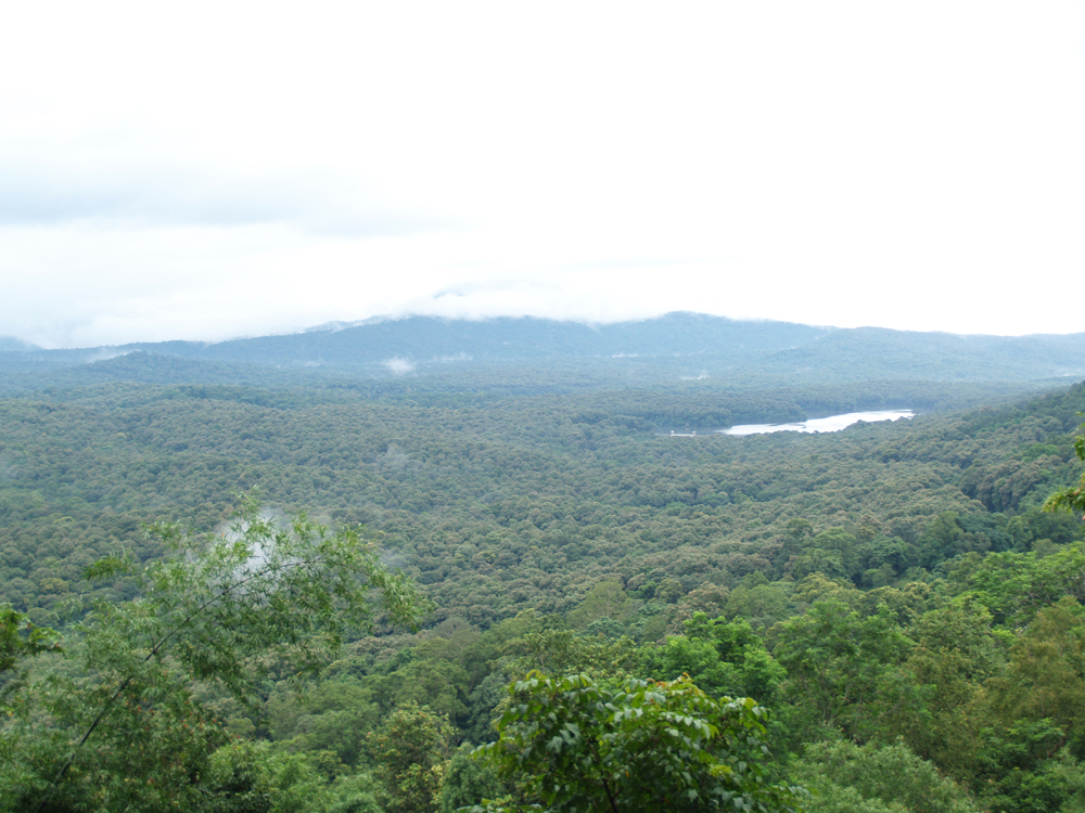 Parambikulam Tiger Reserve - Kerala Jungles