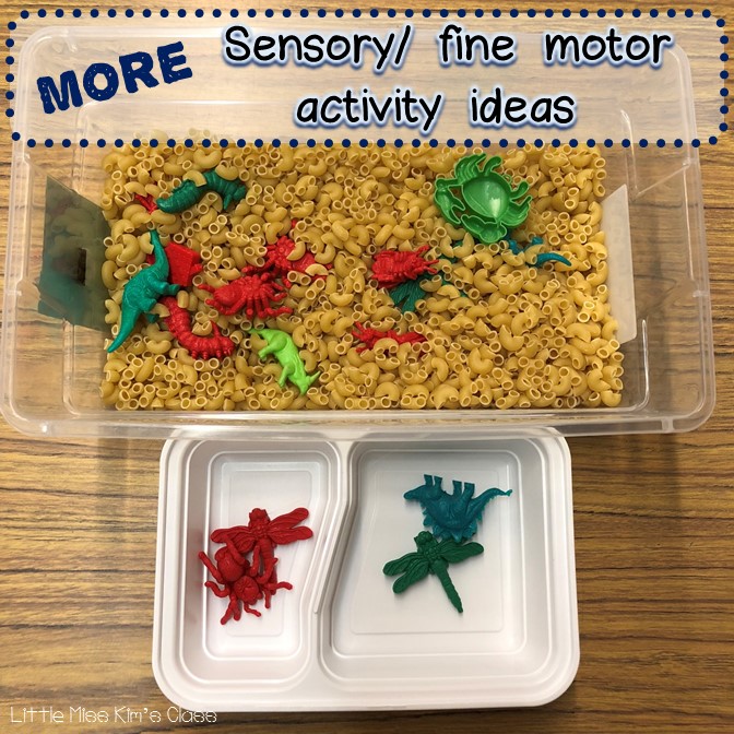 Little Miss Kim's Class: Sensory & Fine Motor Activity Ideas for ...