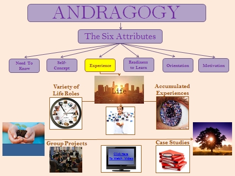 Adult Learning: Experience Attribute Maps Presentations, the Self ...