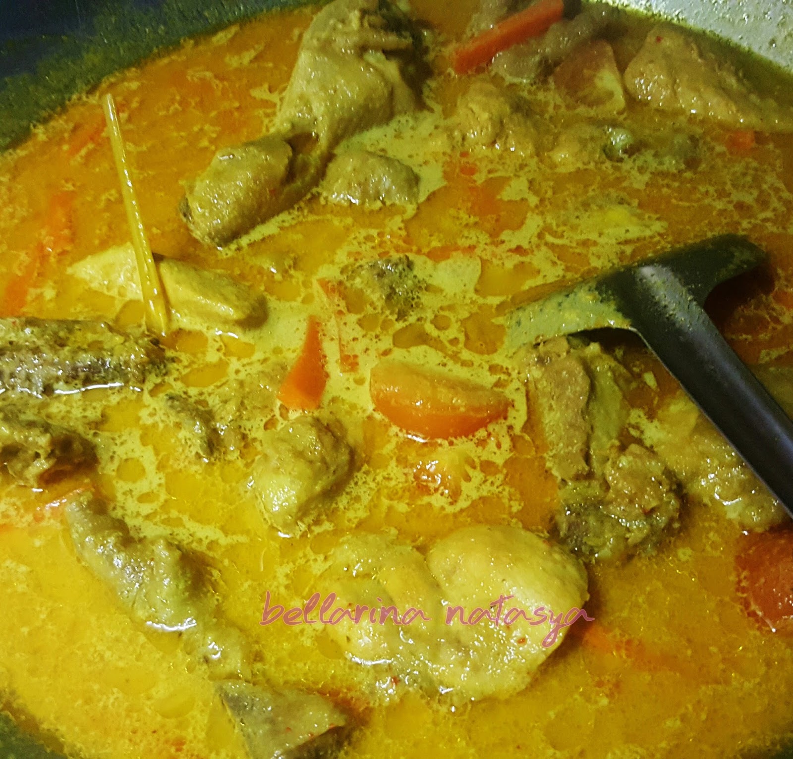 Resepi Ayam Masak Cili Api aka Chicken In Coconut Cream with Birds Eye ...
