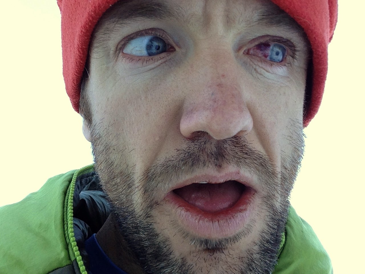 Eat-Climb-Run . . . Sleep . . . Repeat: In the land of the blind, the ...